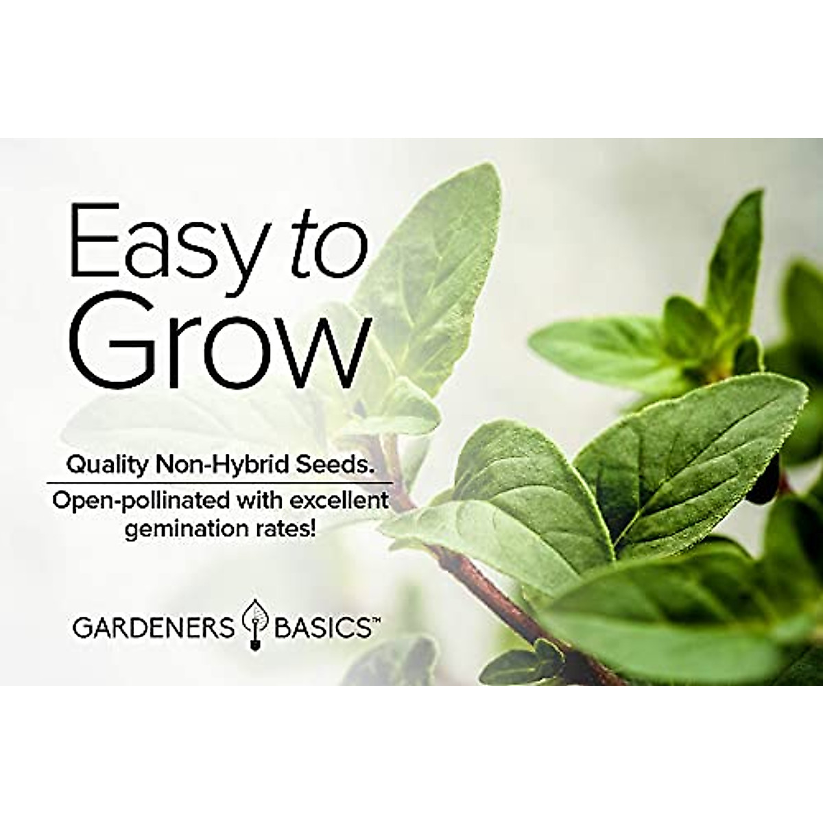 Oregano Seeds for Planting Heirloom Non-GMO Herb Plant Seeds for Home Herb Garden Makes a Great Gift for Gardening by Gardeners Basics