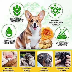 Natural Yeast Infection Treatment for Dogs - Helps to Support Itch Relief - Inflammation Relief & More - Dog Yeast Infection Treatment - Dog Ear Infection Treatment - Dog Allergy | 2 Oz