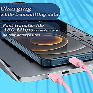 Multi USB Charging Adapter Cable Kit, USB C to Lighting Adapter Box, Conversion Set USB A & Type C to Male Micro/Type C/Lightning, Data Transfer, Card Storage, Tray Eject Pin, Phone Holder (Pink)