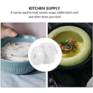 HEMOTON White Ceramic Stew Pot with Lid Steam Soup Bowl with Handles Steaming Cup Soup Noodle Bowl Stockpot Cookware for Egg Custard Medicinal and Birds Nest