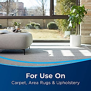 BISSELL Pet Power Shot Oxy for Carpet & Area Rugs, 14 ounces, 13A21 , Black