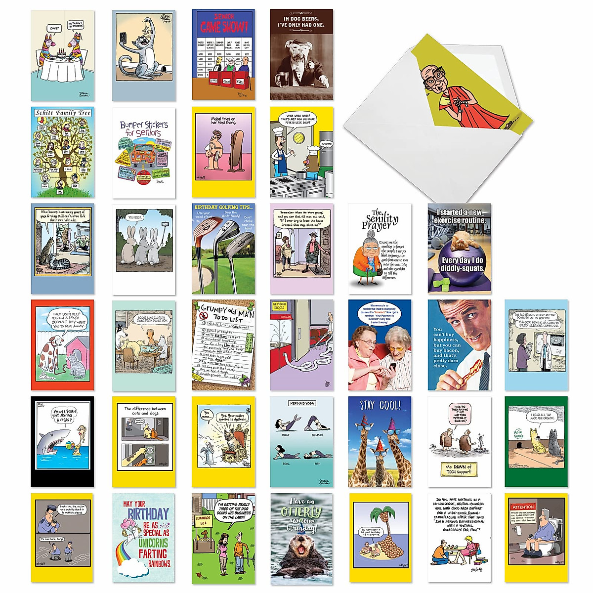 NobleWorks - Variety Pack of 36 Assorted Funny Birthday Cards Bulk Box Set w/Envelopes, Edgy Humor B-Day for Men, Women (36 Designs, 1 Each) - Birthday Favorites AC2911BDG-B1x36