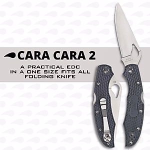 Spyderco Byrd Cara Cara 2 Lightweight Knife with 3.75" Stainless Steel Blade and Gray Non-Slip FRN Handle - PlainEdge - BY03PGY2