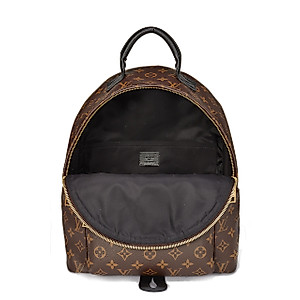 Louis Vuitton, Pre-Loved Monogram Canvas Palm Springs Backpack MM, Brown