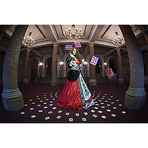 Nikon AF-S FISHEYE NIKKOR 8-15mm f/3.5-4.5E ED F/4.5-29 Fixed Zoom Camera Lens, Black