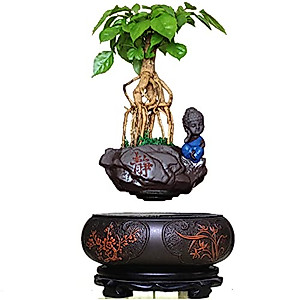 Floating Flowerpot-Floating Bonsai-Home Decoration Floating Bonsai-Creative Design Bonsai-Home Office Decoration-Fun Gift,A