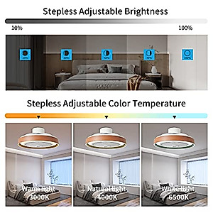 XuanDe Ceiling Fans with Lights and Remote Quiet, 20" Enclosed Ceiling Fan Modern Low Profile DC Motor 6 Gear Wind Speeds 3 Colors Stepless Dimming for Bedroom, Living Room-Walnut wood color
