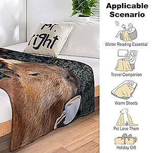 Capybara Sipping Coffee Blanket Gifts, 40"*50" Flannel Throw Blanket, Soft Warm Fuzzy Fluffy Plush Blankets for Girls Boys, Gifts for Capybara Lovers for Sofa Couch Bed Travel Room Decor