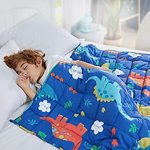 HOSUKKO Weighted Blanket - Weighted Blanket 5 lbs Blue Dinosaur Heavy Blanket - Breathable Blanket(36 * 48 inches, 5 lbs)