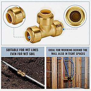 SUNGATOR Pushfit 1/2" Tee Fittings, Plumbing T Fittings 1/2 Inch, No Lead Brass Push to Connect Fittings, Push Pex Fittings Tee for PEX, Copper, CPVC Transition, with 1 Disconnect Clip, Pack of 6