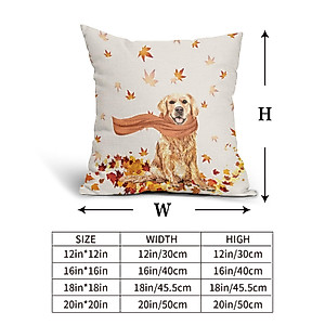 Granbey Golden Retriever Dog Fall Throw Pillow Cover Autumn Maple Leaves Farmhouse Pillowcase Cute Pet Modern Thanksgiving Decorative Pillow Protector for Home Sofa Couch Party Living Room