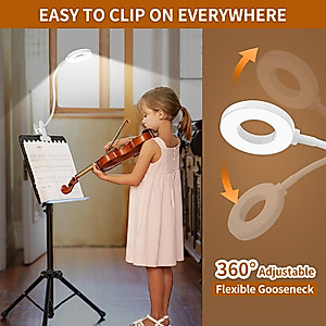 iZELL Reading Light, USB Clamp Lamp for Child Reading Book in Bed at Night, LED Small Desk Lamp with Adjustable Gooseneck Clip on Beside Table for Studying Working Drafting Sewing - 15.8‘’ White