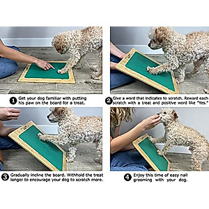 ZENLY PAWS Dog Scratch Board for Nails, Double Sided, File Paper Coarse and Fine Grit, Any Size Dog, Dog Nail File Board 16" x 12", Calming NailCare, Scratch Square for Dogs, Dog Scratch Pad For Nails