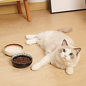 Ceramic Cat Bowls, Toptier Cat Bowls Cat Dishes for Food and Water, Shallow Cat Food Bowls Pet Dishes for Cats, Kittens, and Small Animals, Set of 2, Black and White