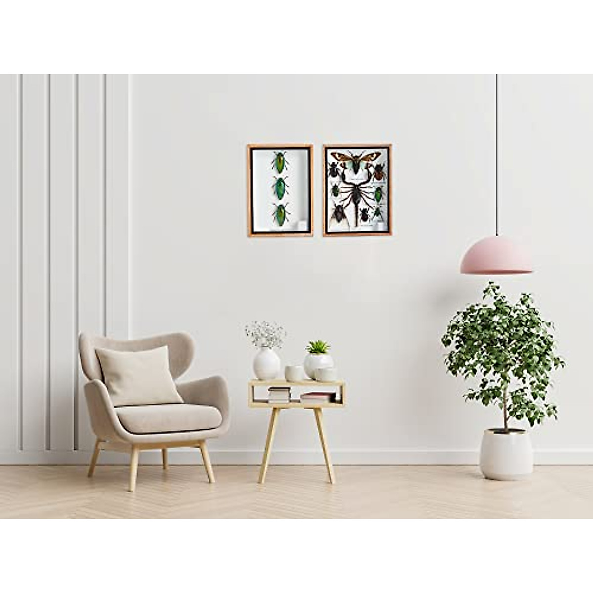 9 Real MIXS Very Rare Insect Taxidermy Set in Boxes Display for Collectibles