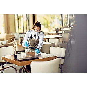 DecorRack 2 Plastic Spray Bottles 20oz Clear Empty Spray Bottle, Professional Sprayer with Adjustable Nozzle for Cleaning Solutions, Kitchen, Garden, Hair, Plants, Leak Proof Fine Mist Bottle (2 Pack)