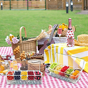 INNOVATIVE LIFE Bar Serving Tray on Ice with 5 Compartments Container, Fruit Trays for Serving , Garnish Platters with Lid , Clear