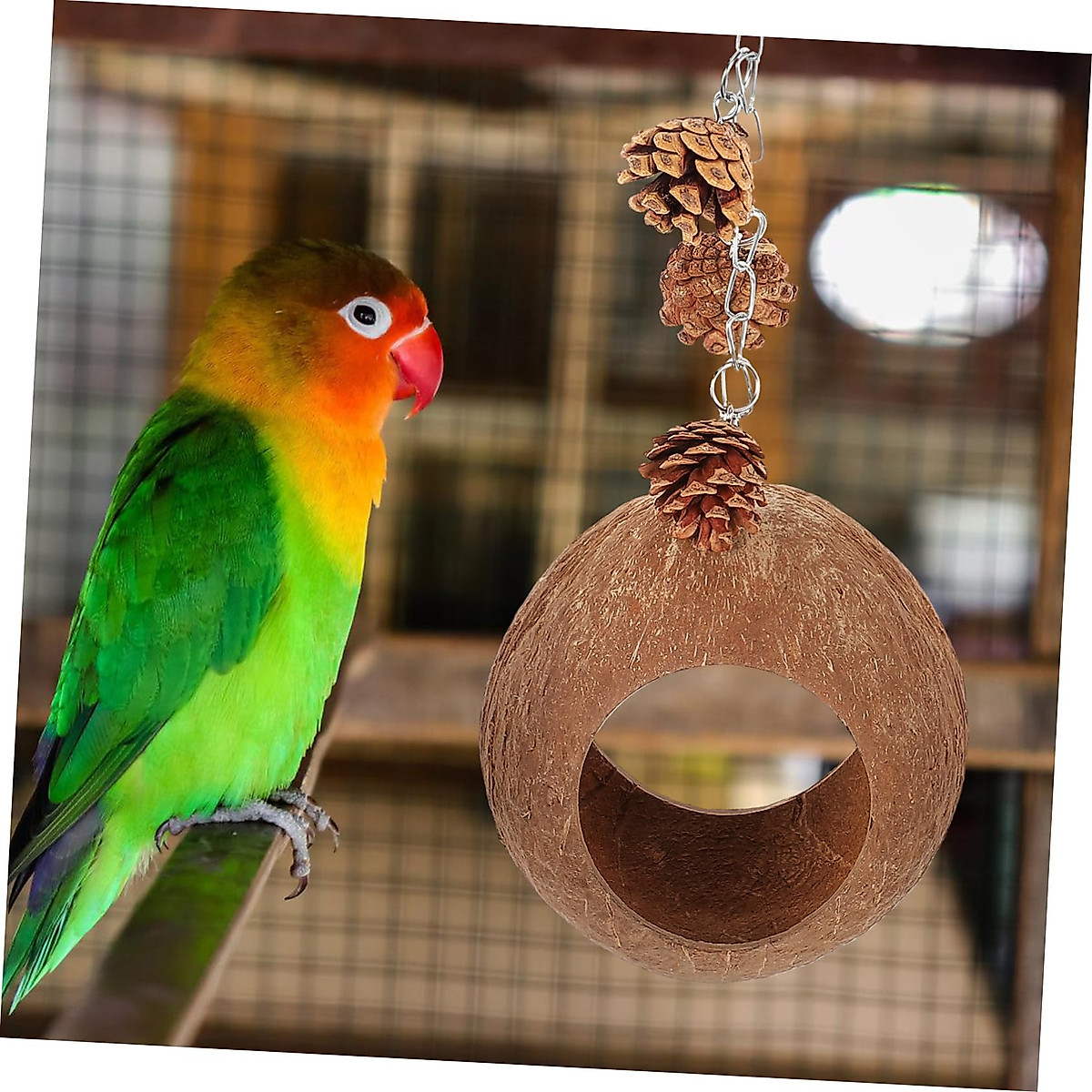 OATIPHO Coconut Shell Swing Bird Nest Parrot Sleeping Bed Bird Nesting Box Toy