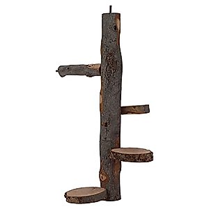 Perch Branch, Bird Perch Stand Easy to Install Wood for Jumping Toy