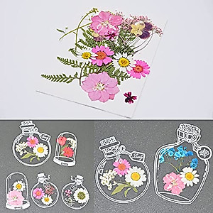 Transparent Dried Flower Bookmarks, Flower Bookmark Maker, Clear Floral Bookmark, Handmade Natural Dried Flower Bookmark, Transparent Floral Page Marker Home School Book Club (30pcs Large+Small)