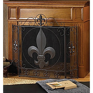 Zings & Thingz 57071349 French Flair Fireplace Screen, No Size, Black