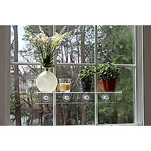 LaBrinx Designs Extra Large Suction Cup Shelf - Live Plants, Windows, and Bathrooms