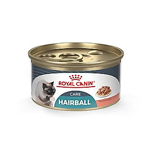 Royal Canin Hairball Care Thin Slices in Gravy Wet Cat Food, 3 oz can (24-count)