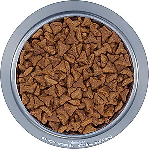 Royal Canin Hairball Care Dry Cat Food, 14 lb bag