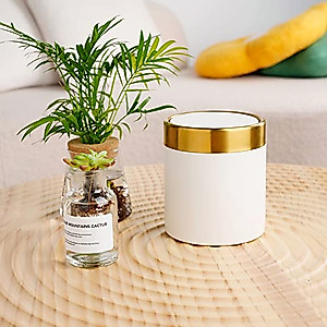 Mini Trash Can with Lid, Brushed Stainless Steel Small Tiny Mini Trash Bin Can, Mini Countertop Trash Cans for Desk Car Office Kitchen, Swing Top Trash Bin 1.5 L/0.40 Gal (White)