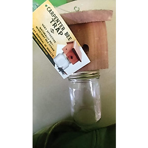 Amish-Made Rustic Carpenter bee catching Device