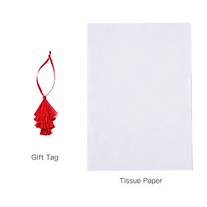 MAYPLUSS 12.5" Large Gift Bag with Tissue Paper for Birthday - Colourful Abstract Stripes