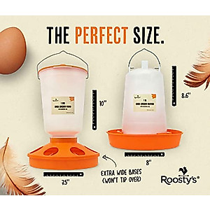Roosty's Chick Feeder and Waterer Kit, Chicken Feeder and Waterer Set, 1.5kg Poultry Feeder and 1.5L Chick Waterer - Baby Chick Feeder, Baby Chick Waterer, Chicken Starter Kit, Baby Chicken Supplies