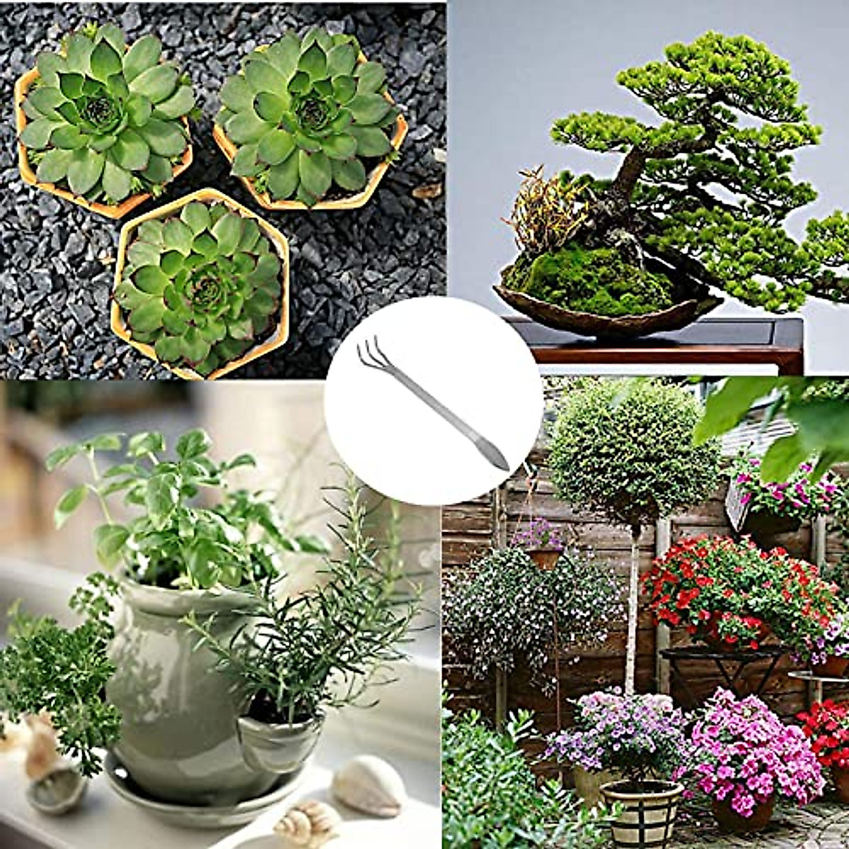 GOTOTOP Bonsai Rake Lightweight 3-Prong Stainless Steel Root Rake Loosen Soil Bonsai Tree Toool with Ergonomic Handle for Outdoor