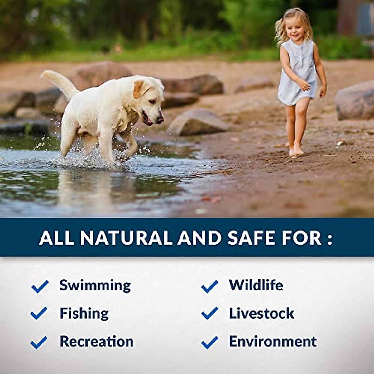 Airmax Twilight Blue Pond Dye Pond Dye, 4X Liquid Concentrate, Treats Like 1 Gallon, Ecofriendly, Clean & Clear Water, No Mixing & Easy to Use, Enhances Natural Color, Treats up to 1 Acre, 1 Quart