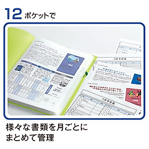 King Jim 6171-3T Clear File Holder, A4, 12 Pockets, Light Blue