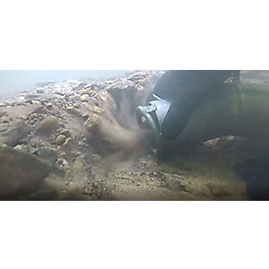 Gold Paydirt 7.5 Oz Unsearched Georgia Pay Dirt | Guaranteed Gold + Free Glass Vial | Gold Concentrates