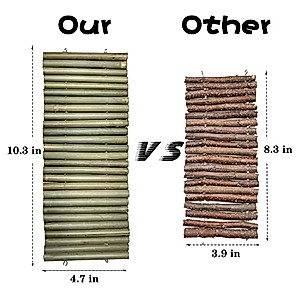 Hamster Guinea Pig Chew Toys, Hamster Rat Gerbil Mice Toys with Climbing Ladder and Hideout, Hamster Exercise Accessories for Syrian Dwarf Hamsters