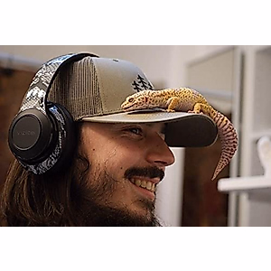 Vizliter Bluetooth Headphones, TWS Deep Bass Wireless Over-Ear Headset 5.0 with Built-in Mic LED Lights, Noise Cancelling (Snake)