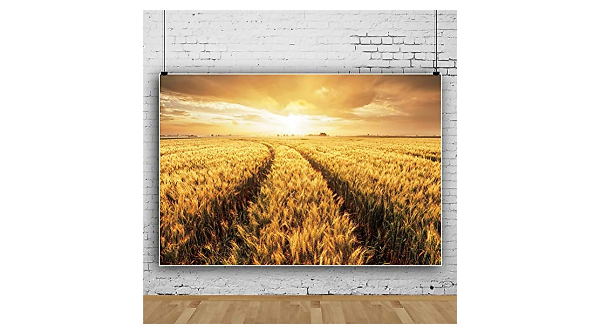 Renaiss 10x8ft Gold Cornfield Backdrop for Photoshoots
