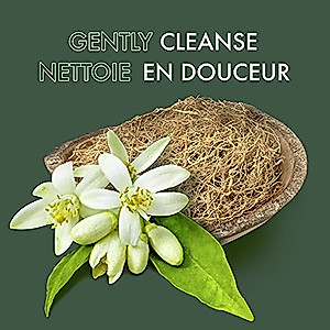 SHEA MOISTURE Men's Shea Refreshing Shampoo, 15 FZ