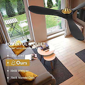 52 inch Black Outdoor Ceiling Fan No Light with Remote, 3 Blade Wood Ceiling Fan with Wall Control Quiet DC Motor Memory Function Black Gold Ceiling Fan for Farmhouse Indoor Wet Rated Patios