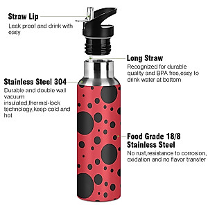 xigua Ladybug Water Bottle Double Walled Stainless Steel Leak Proof Thermo Flask for Sports Gym Cycling Outdoor,20 oz.