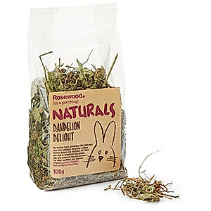 Rosewood Pet 1 Pouch Dandelion Delight Food For Small Animals, 100G
