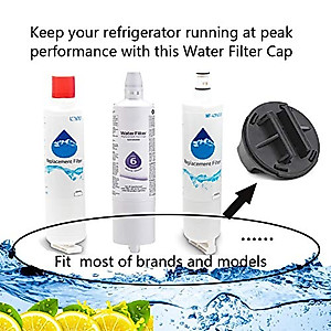 Reyhoar 2186494B Refrigerator Water Filter Cap Replacement Part - Compatible with Whirlpool & Kenmore & Kitchenaid Refrigerators - Replaces WP2186494B, 2186884B, 2186494TG, 4392866, 4392870