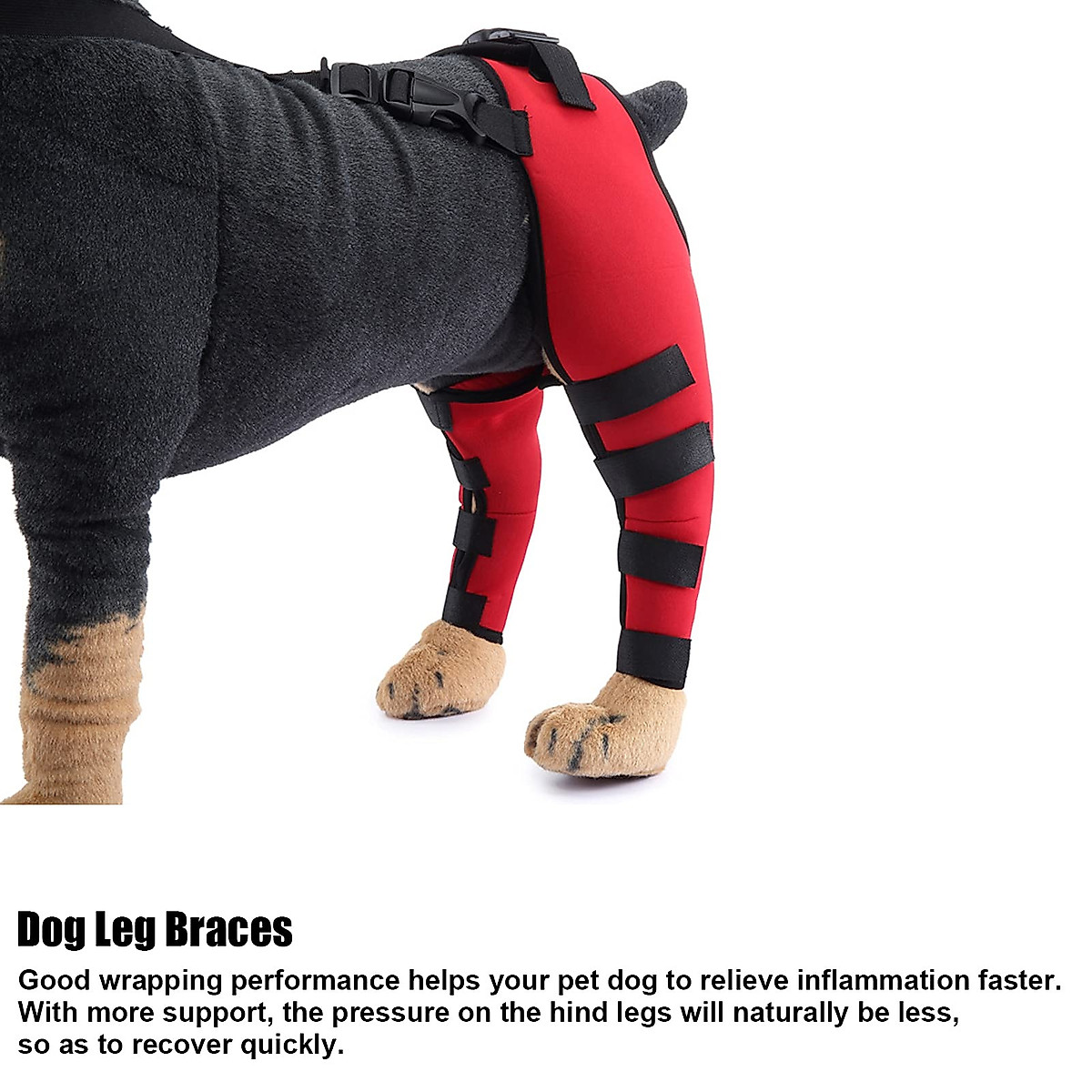 GLOGLOW 1 Pair Dog Hind Leg Braces, Dog Rear Leg Hock Wraps Canine Elbow Protector for Ligament Injuries Sprains(Red L) Boots