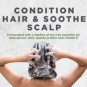 Avalon Organics Scalp Treatment Tea Tree Conditioner, Encourages Scalp Well-Being and Leaves Hair Soft, 32 Fluid Ounces