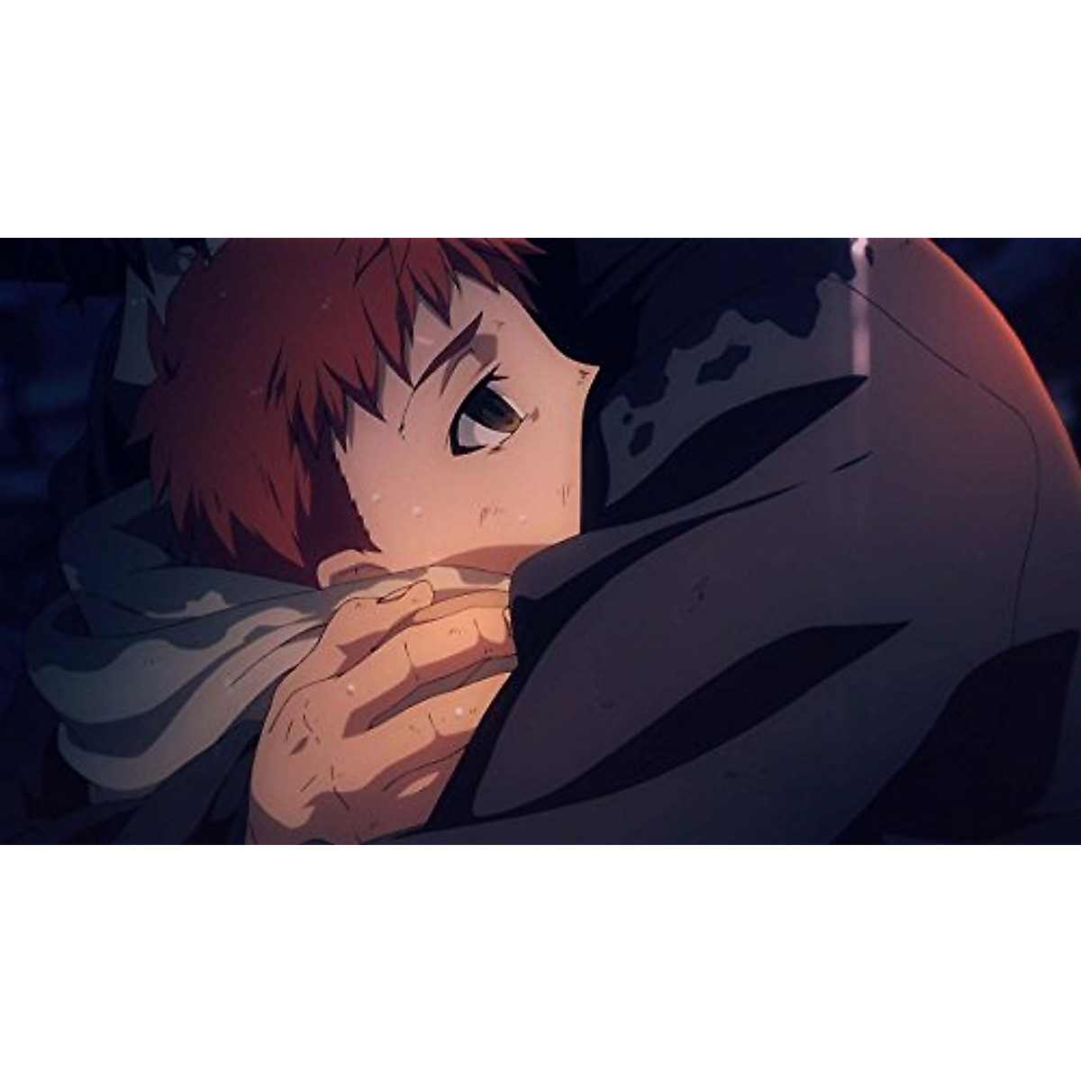 Fate / Stay Night [Realta Nua] Playstation Vita the Best Limited Benefits "Another Special Jacket" With