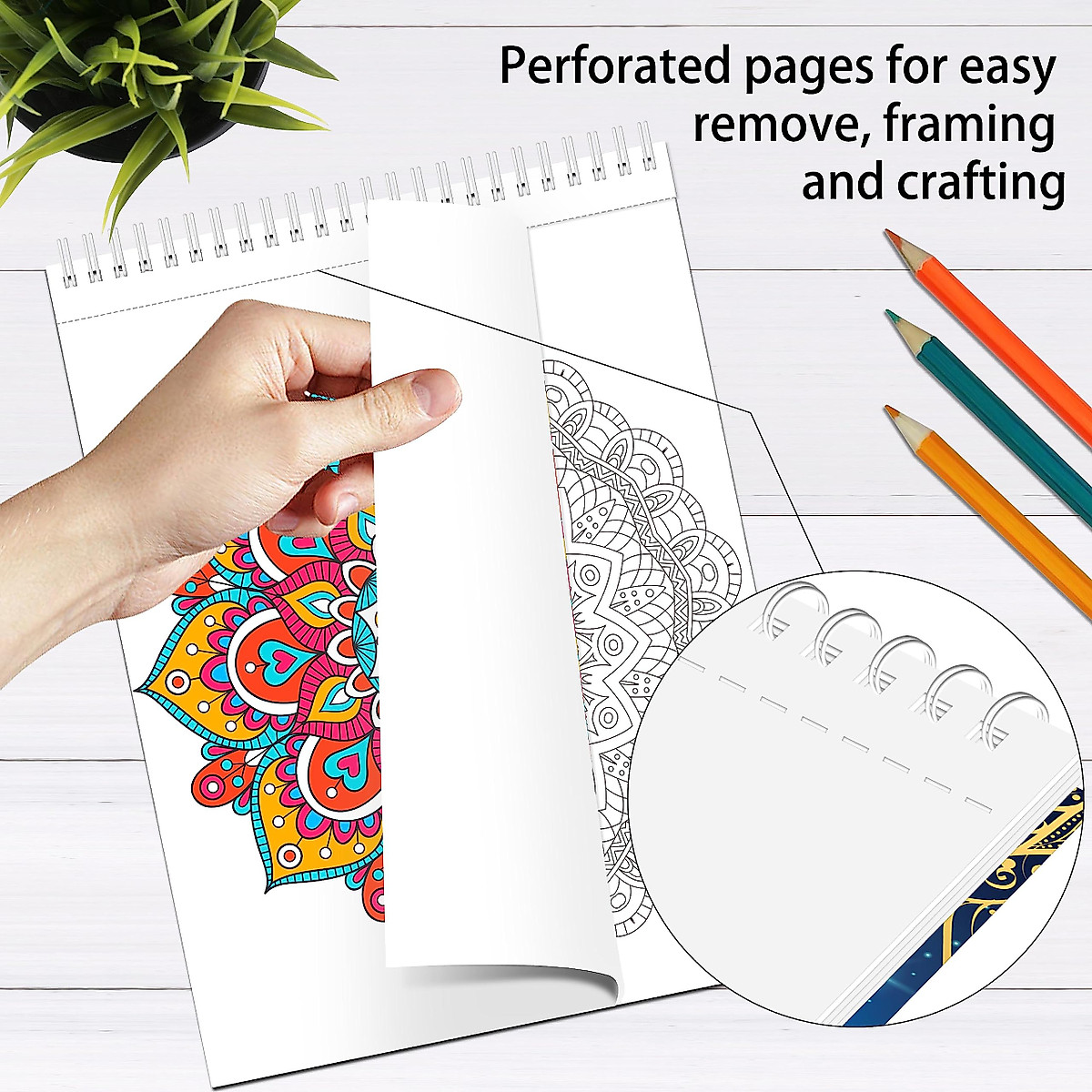 Elfew 2 Pack Mandalas Coloring Books for Adult, 80 Original Mandala Patterns and Designs, Coloring Book for Adults Relaxation, Adult Coloring Book Spiral Bound, Relaxation Books for Women