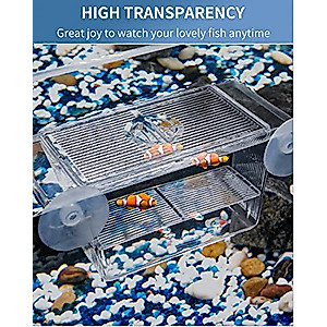 Pawfly Aquarium Fish Breeding Box Acrylic Hatchery Incubator Tank with Suction Cups Small Isolation Box for Baby Small Fish Shrimp and Betta