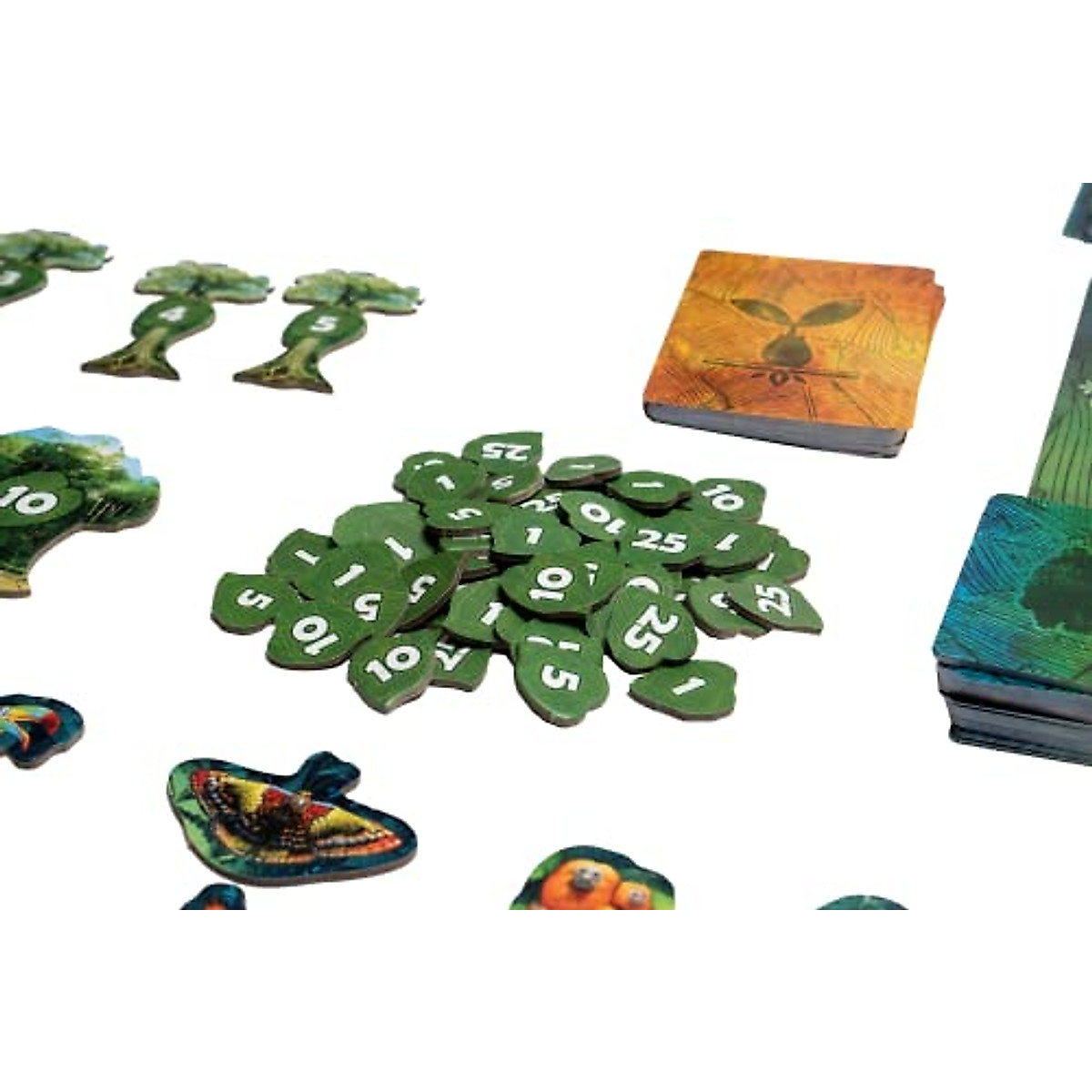 Weird City Games: Canopy, Card Game, Fast and Fun Gameplay, Features 25 Unique Species of Rainforest Animals and Plants, Solo or Multiplayer Option, For Ages 8 and up